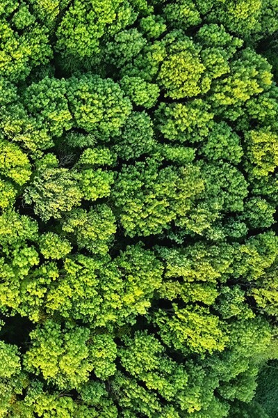 CSRD direktivet | PwC