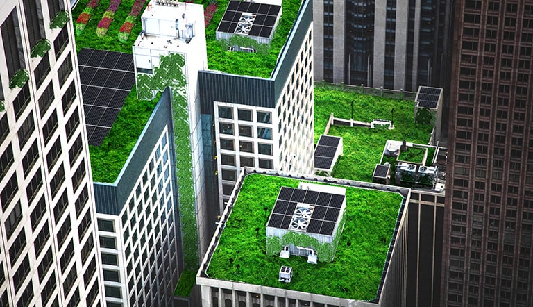 TNFD - Task Force on nature-related Financial Disclosures | PwC